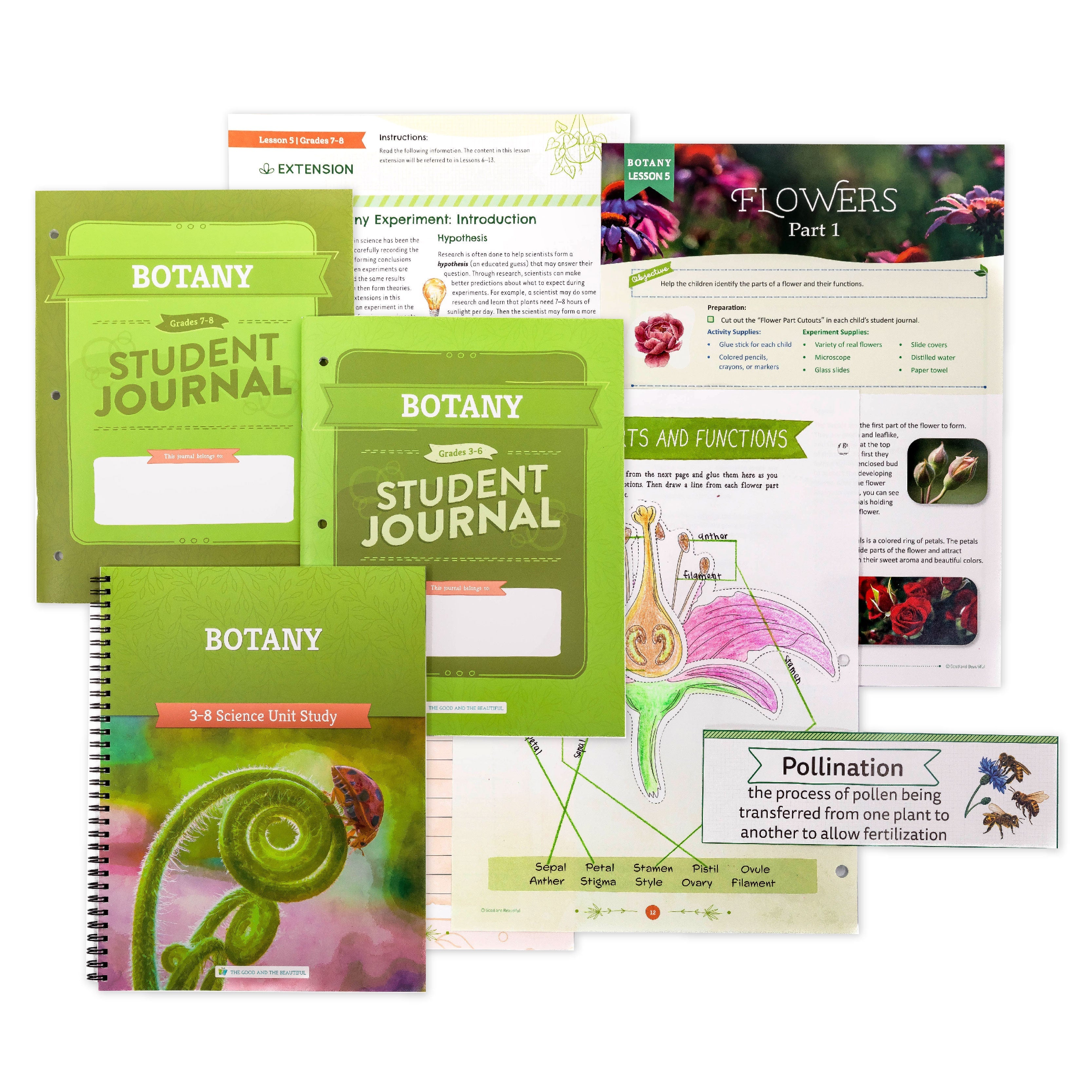 Botany – The Good and the Beautiful