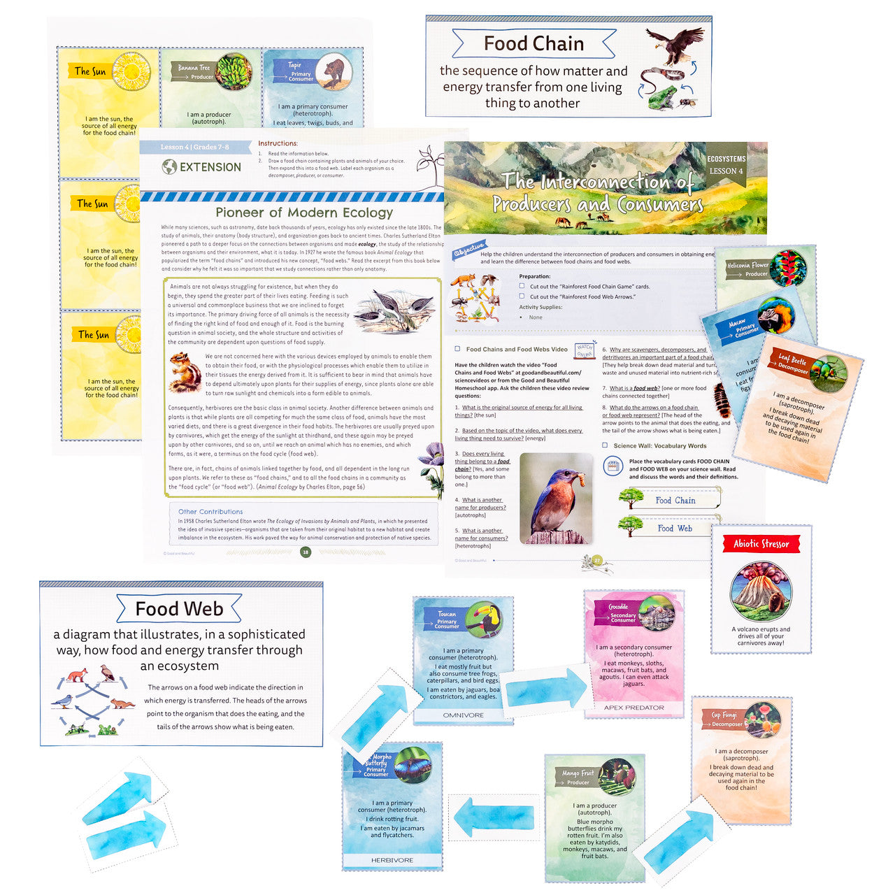 Ecosystems – The Good and the Beautiful
