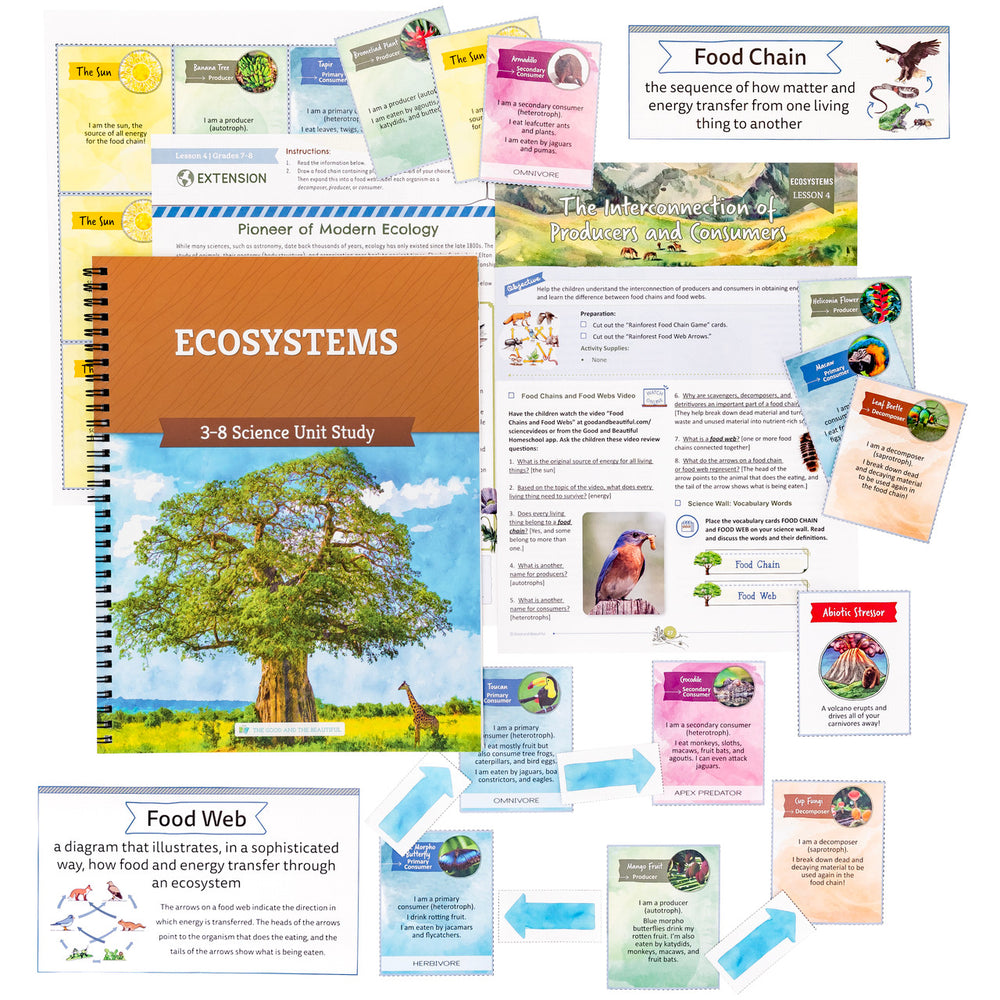 Ecosystems – The Good and the Beautiful