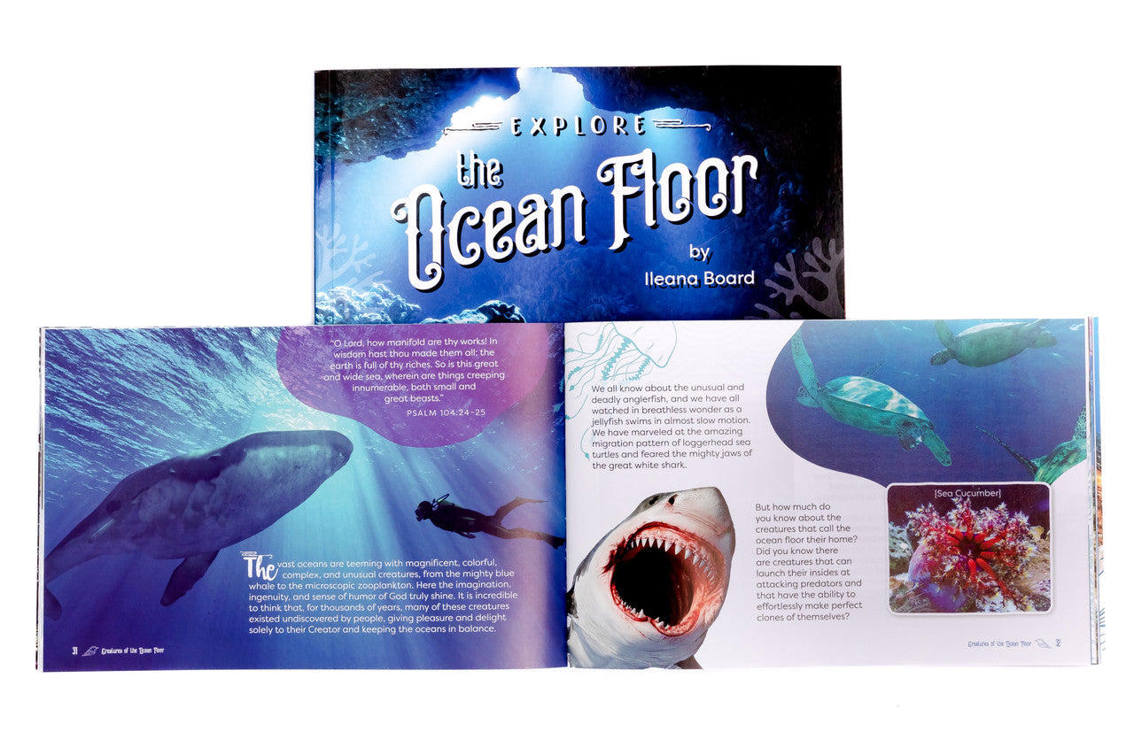 Explore the Ocean Floor: Marine Biology Grades 7-8 Extension – The Good ...