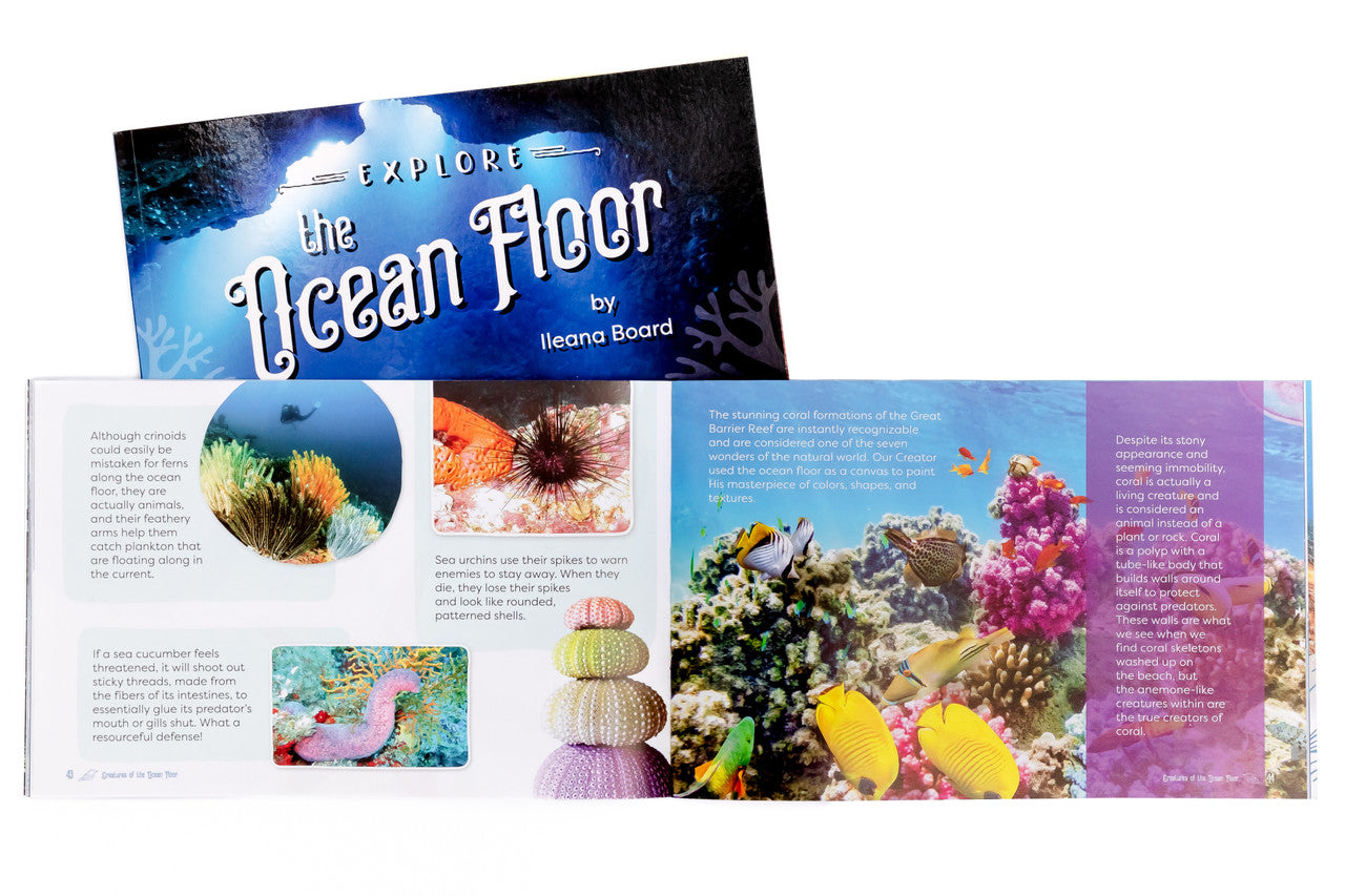 Explore the Ocean Floor: Marine Biology Grades 7-8 Extension – The Good ...