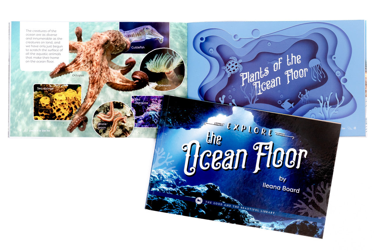 Explore the Ocean Floor: Marine Biology Grades 7-8 Extension – The Good ...