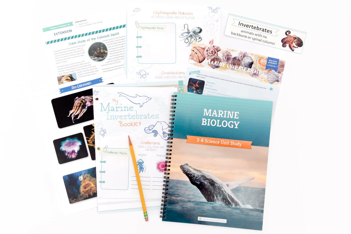 Marine Biology – The Good and the Beautiful
