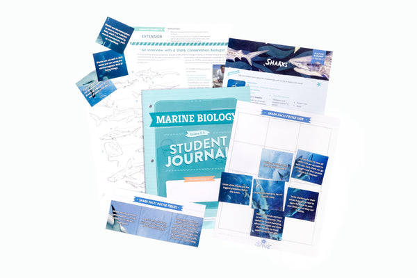 Marine Biology – The Good and the Beautiful