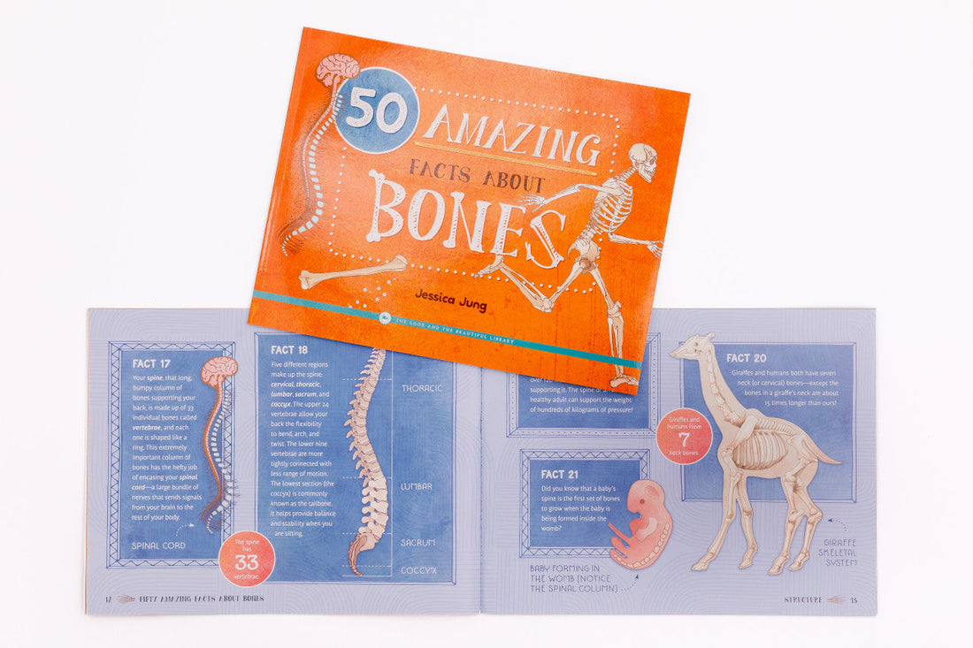 Health and the Physical Body Read-Aloud Book Pack – The Good and the ...