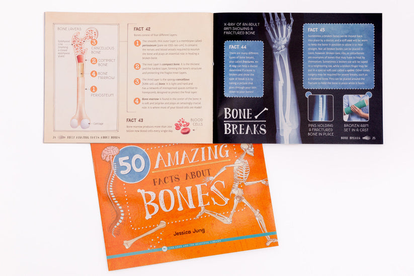 Health and the Physical Body Read-Aloud Book Pack – The Good and the ...