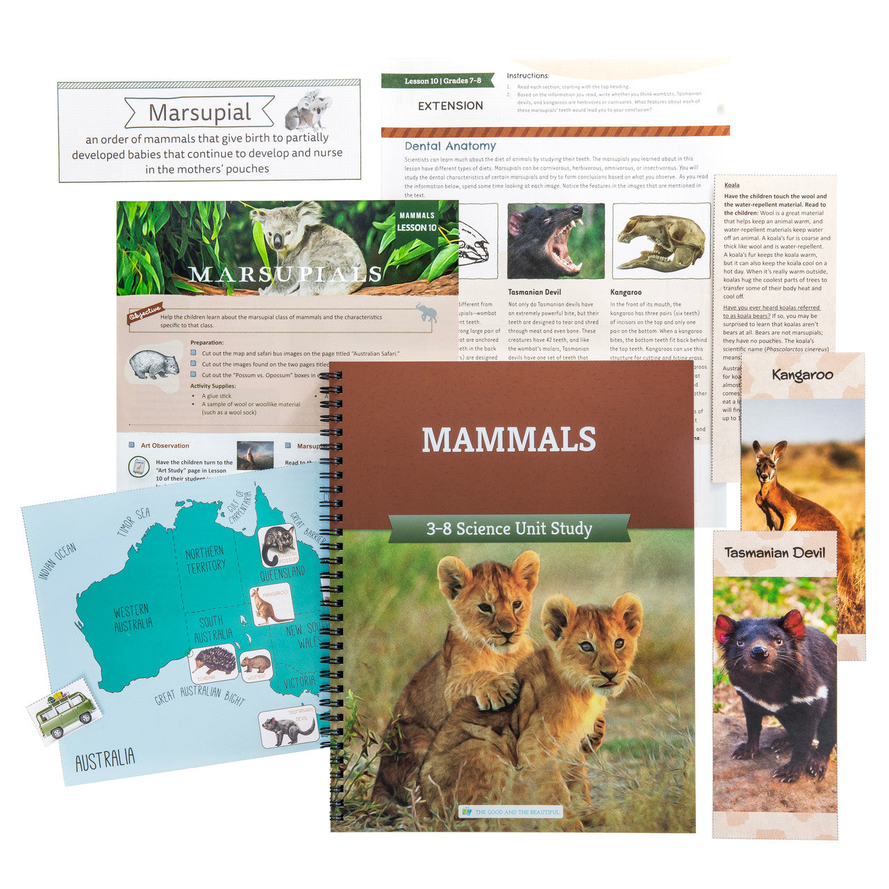 Mammals – The Good and the Beautiful