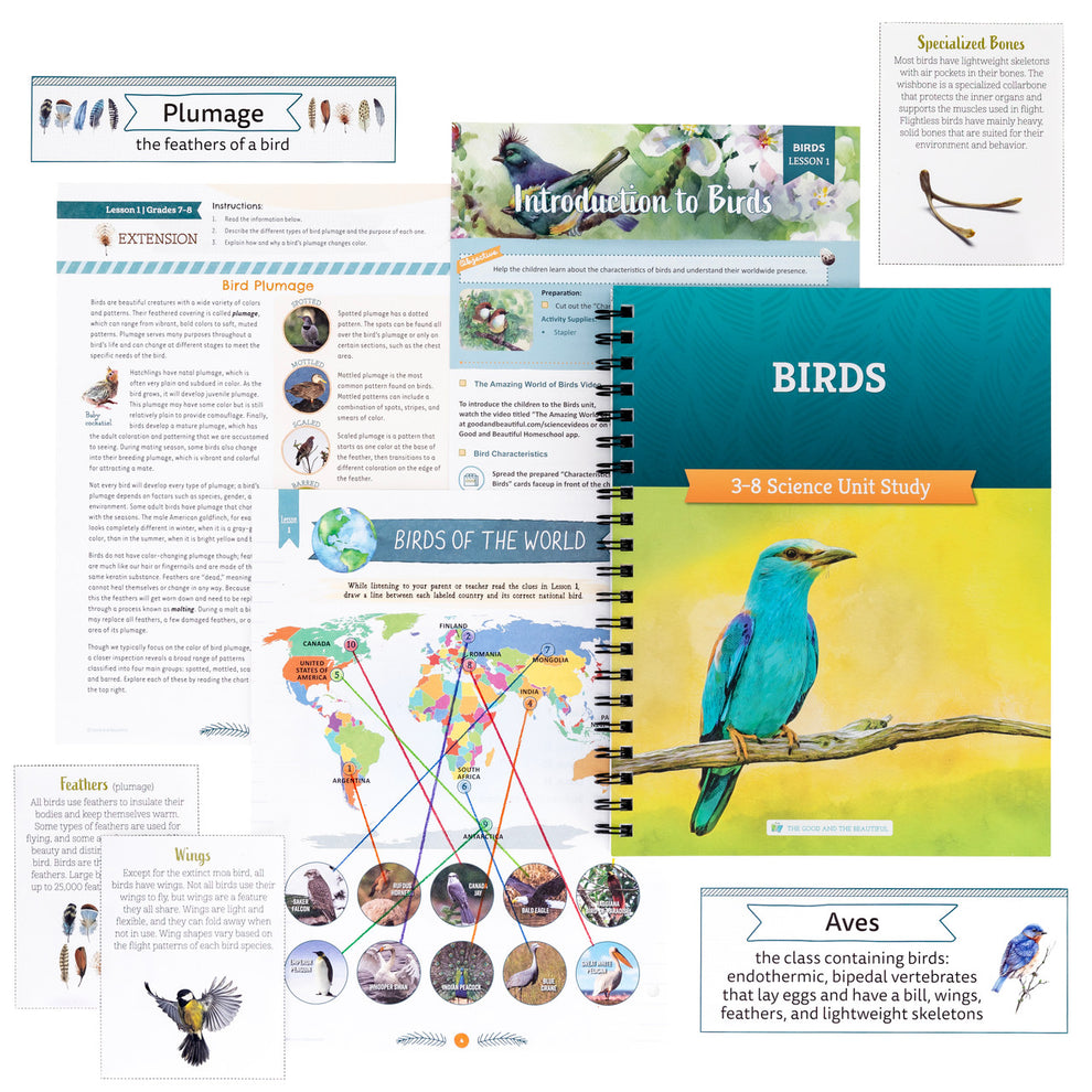 Birds Science Unit | The Good and the Beautiful