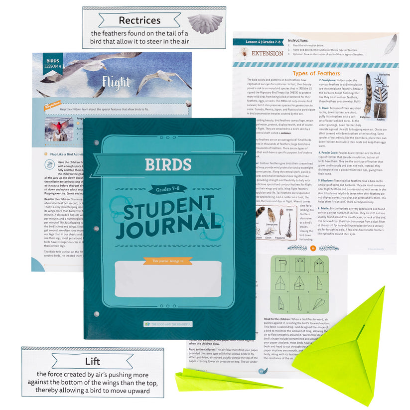 Birds: Course Book | The Good and the Beautiful