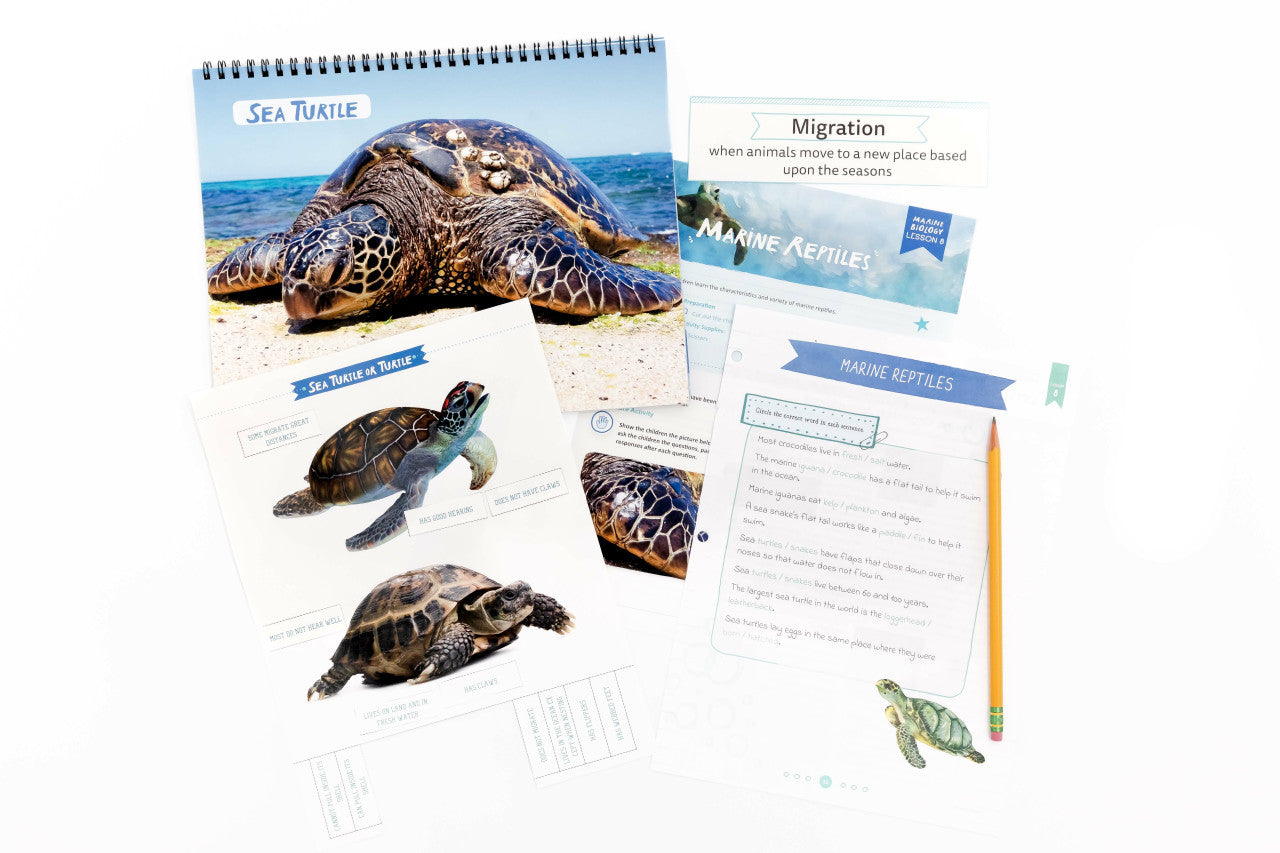 Marine Biology – The Good and the Beautiful