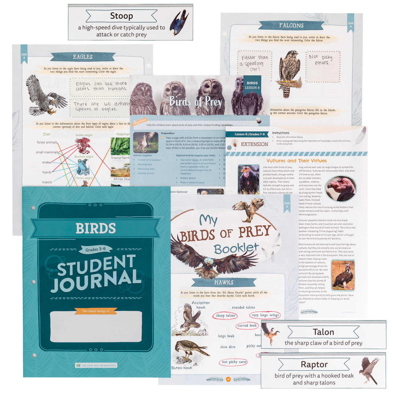 Birds: Course Book | The Good and the Beautiful