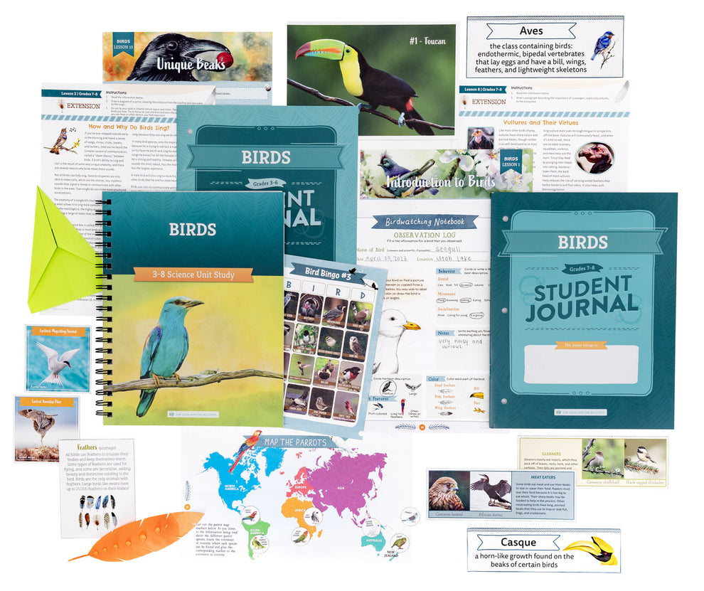 Birds: Course Book | The Good and the Beautiful