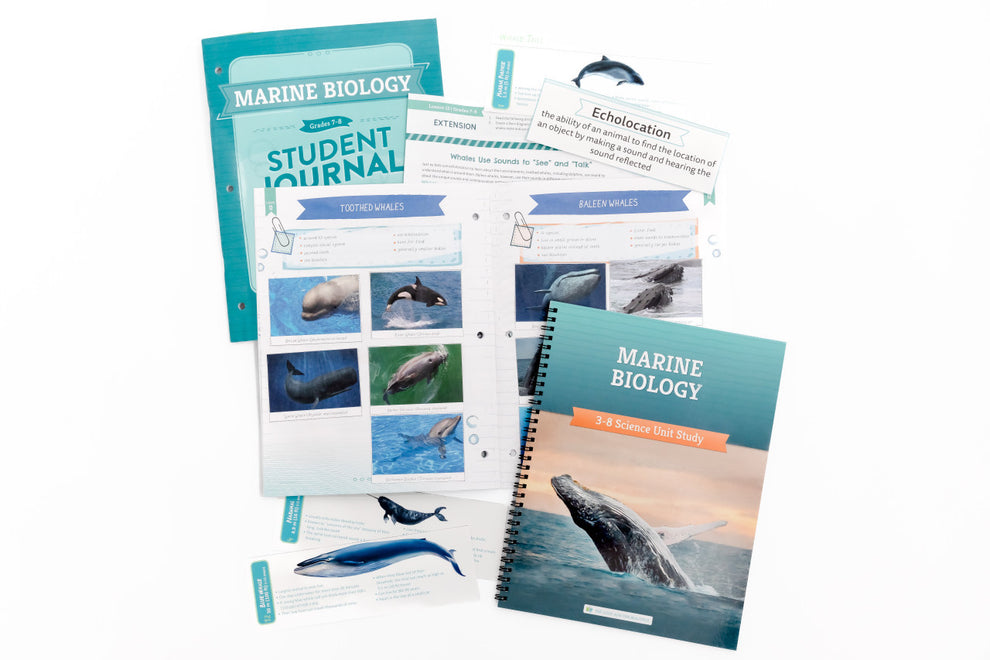 Marine Biology: Course Book: One Per Family – The Good and the Beautiful
