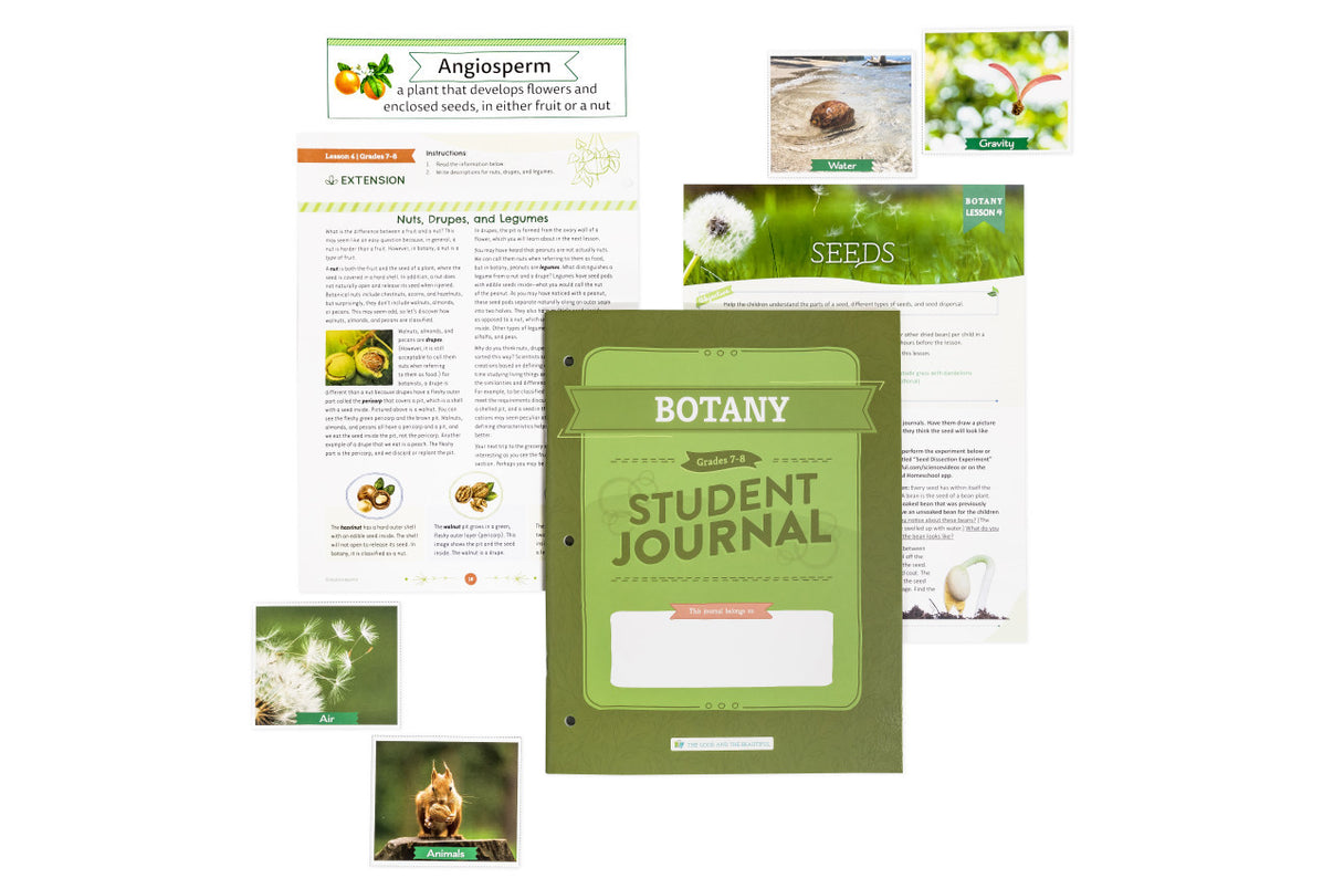Botany: Course Book: One Per Family – The Good and the Beautiful