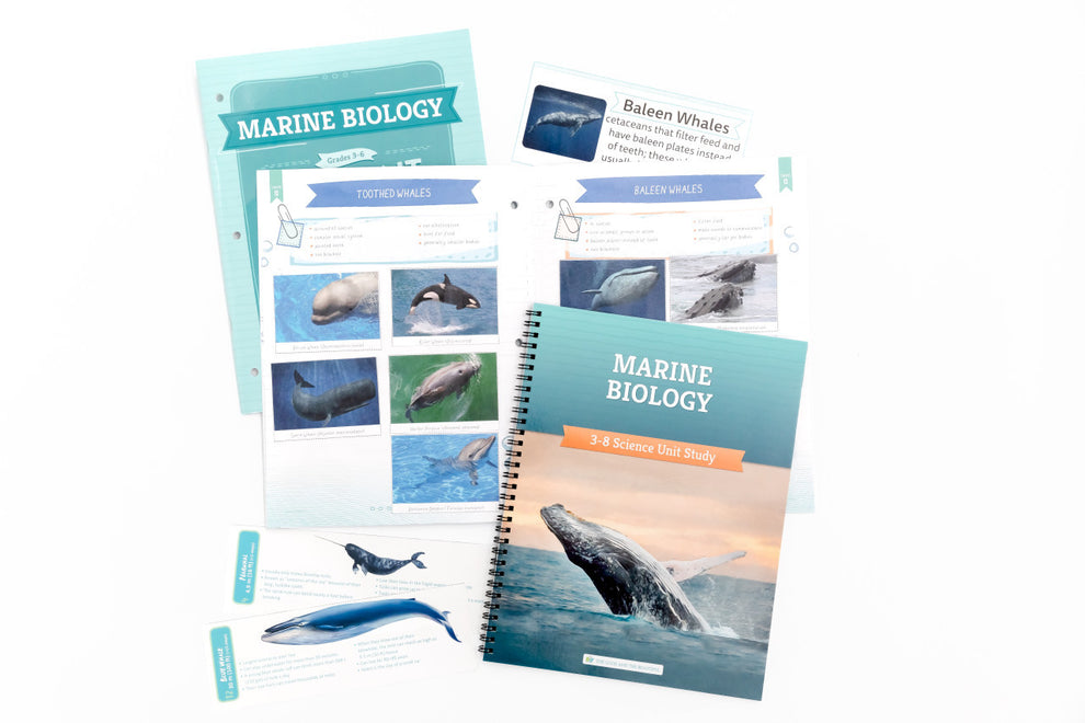 Marine Biology: Course Book: One Per Family – The Good and the Beautiful