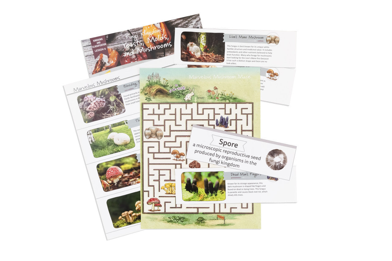 Kingdoms and Classification: Course Book: One Per Family – The Good and ...