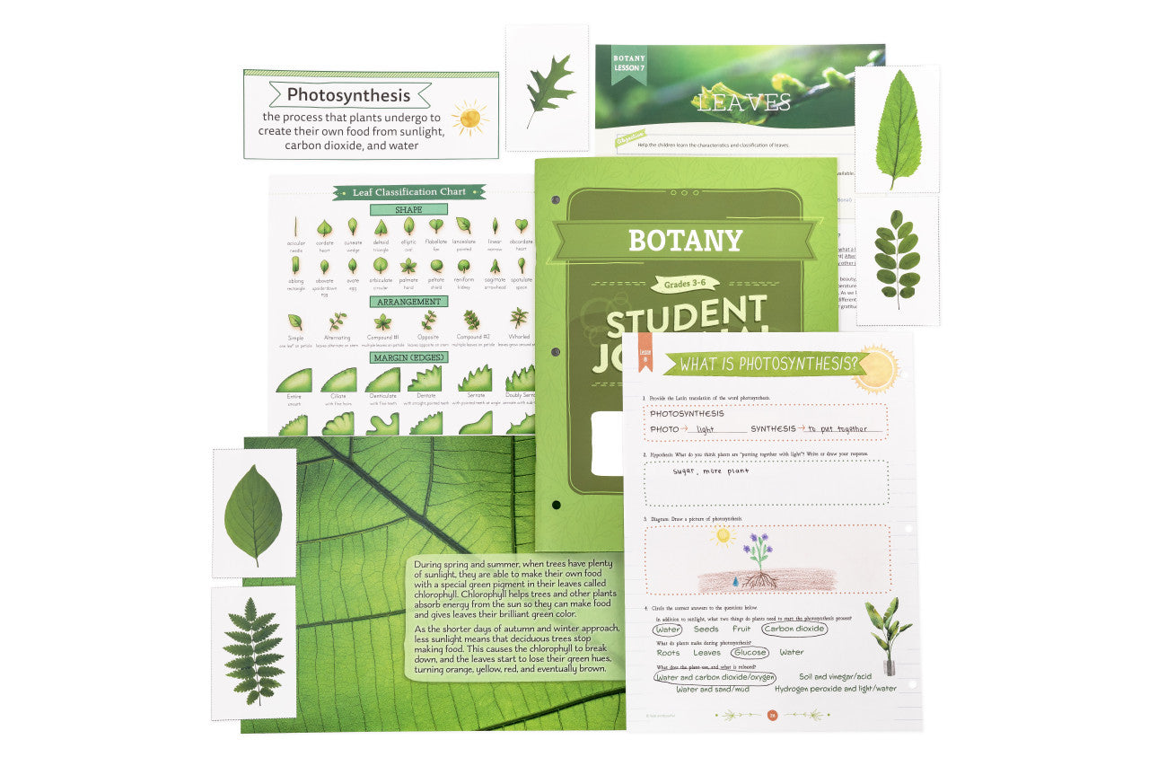 Botany: Course Book: One Per Family – The Good and the Beautiful