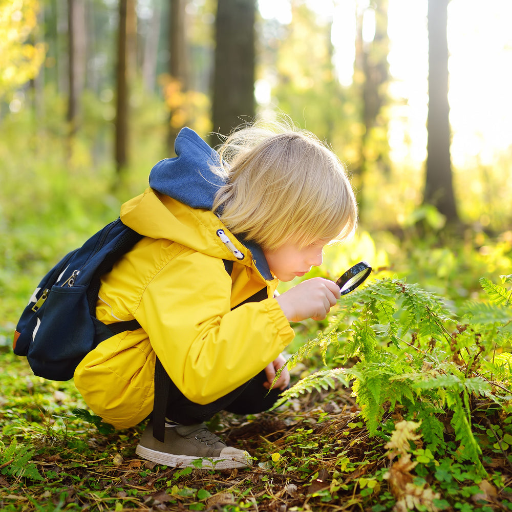 Why and How to Have Quiet Time in Homeschool – The Good and the Beautiful