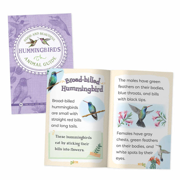 Good and Beautiful Animal Guide: Hummingbirds – The Good and the Beautiful