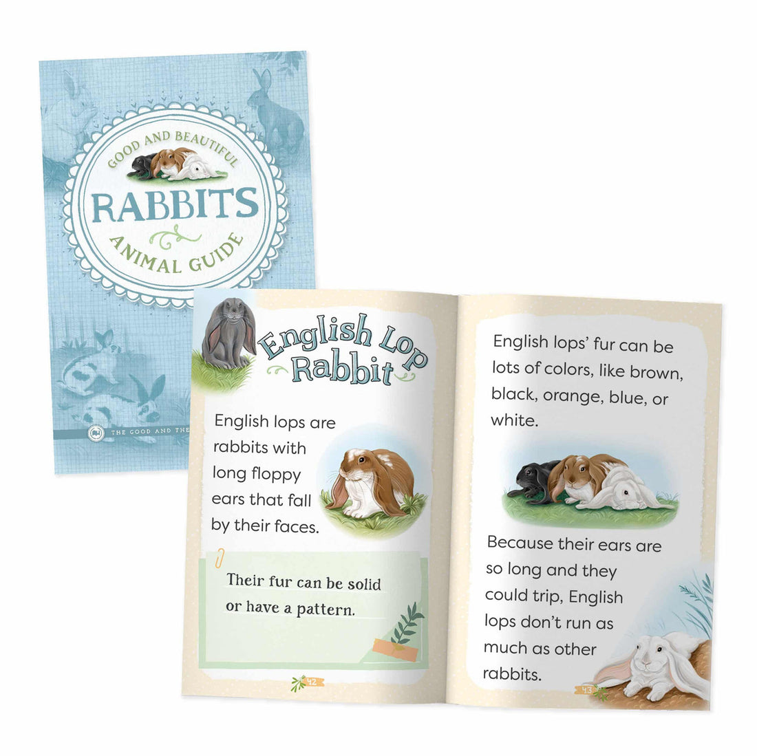 Good and Beautiful Animal Guide: Rabbits – The Good and the Beautiful