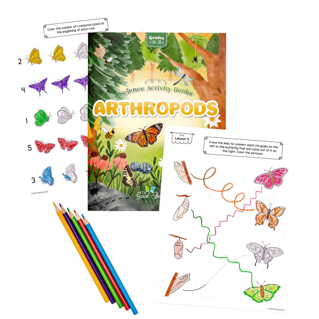 Arthropods: Science Activity Book – The Good and the Beautiful