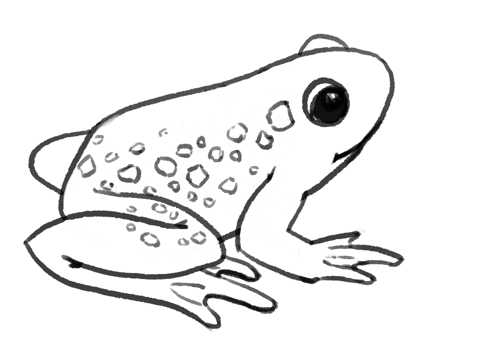 How to Draw a Frog – The Good and the Beautiful