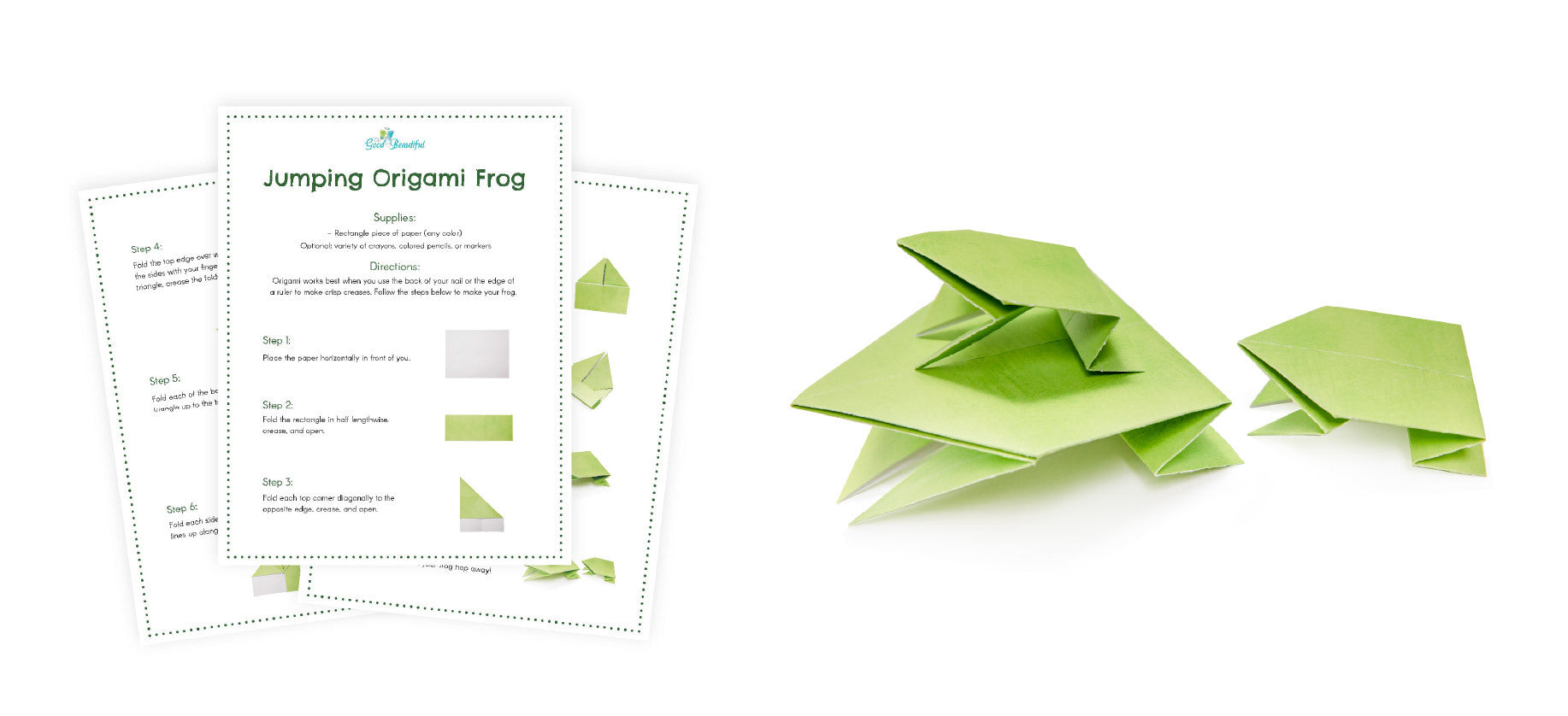 Baby Frogs – The Good and the Beautiful