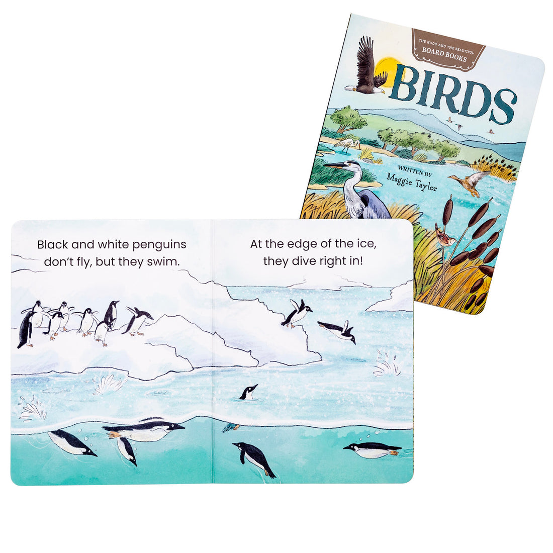Birds Board Book: by Maggie Taylor – The Good and the Beautiful
