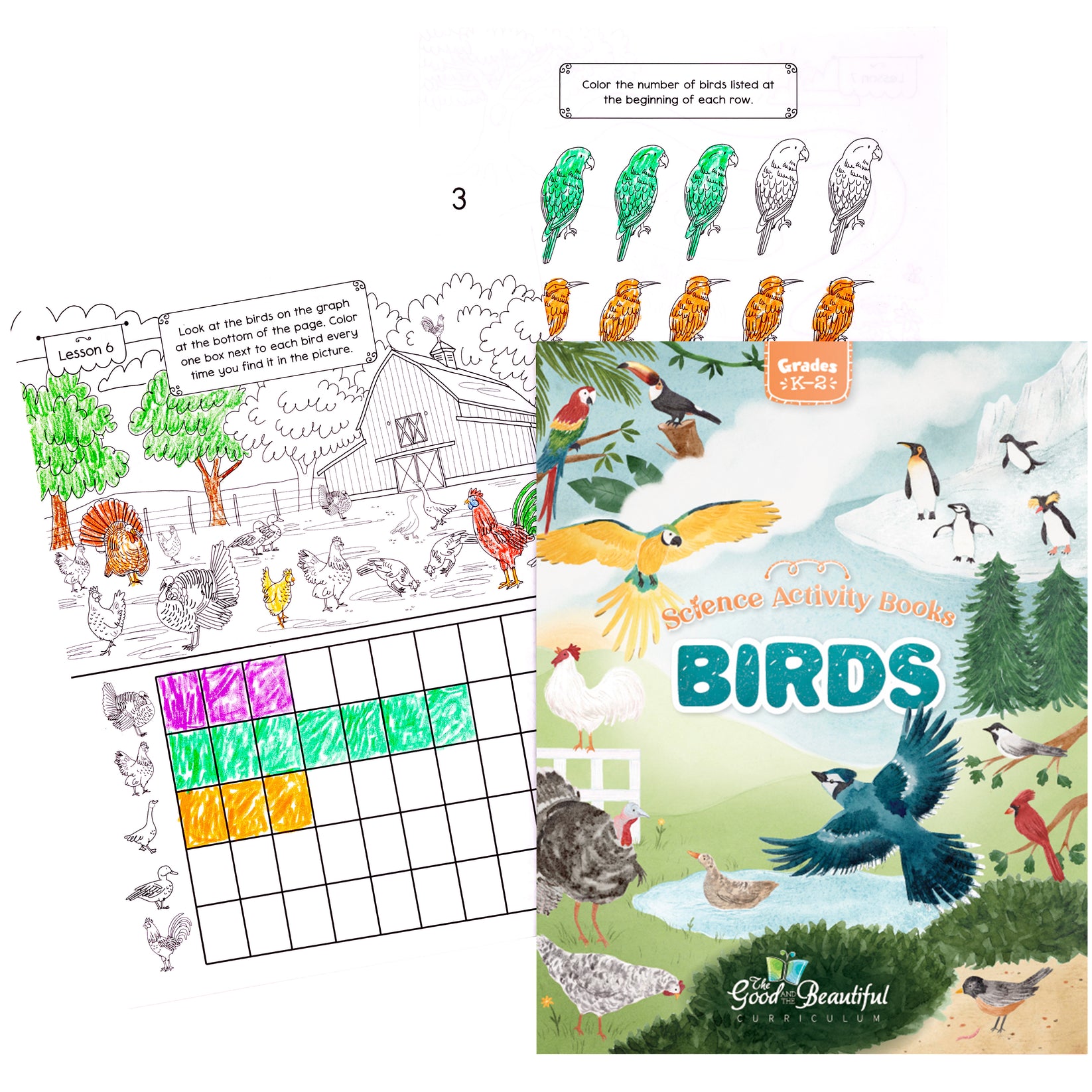 Birds: Science Activity Book – The Good and the Beautiful