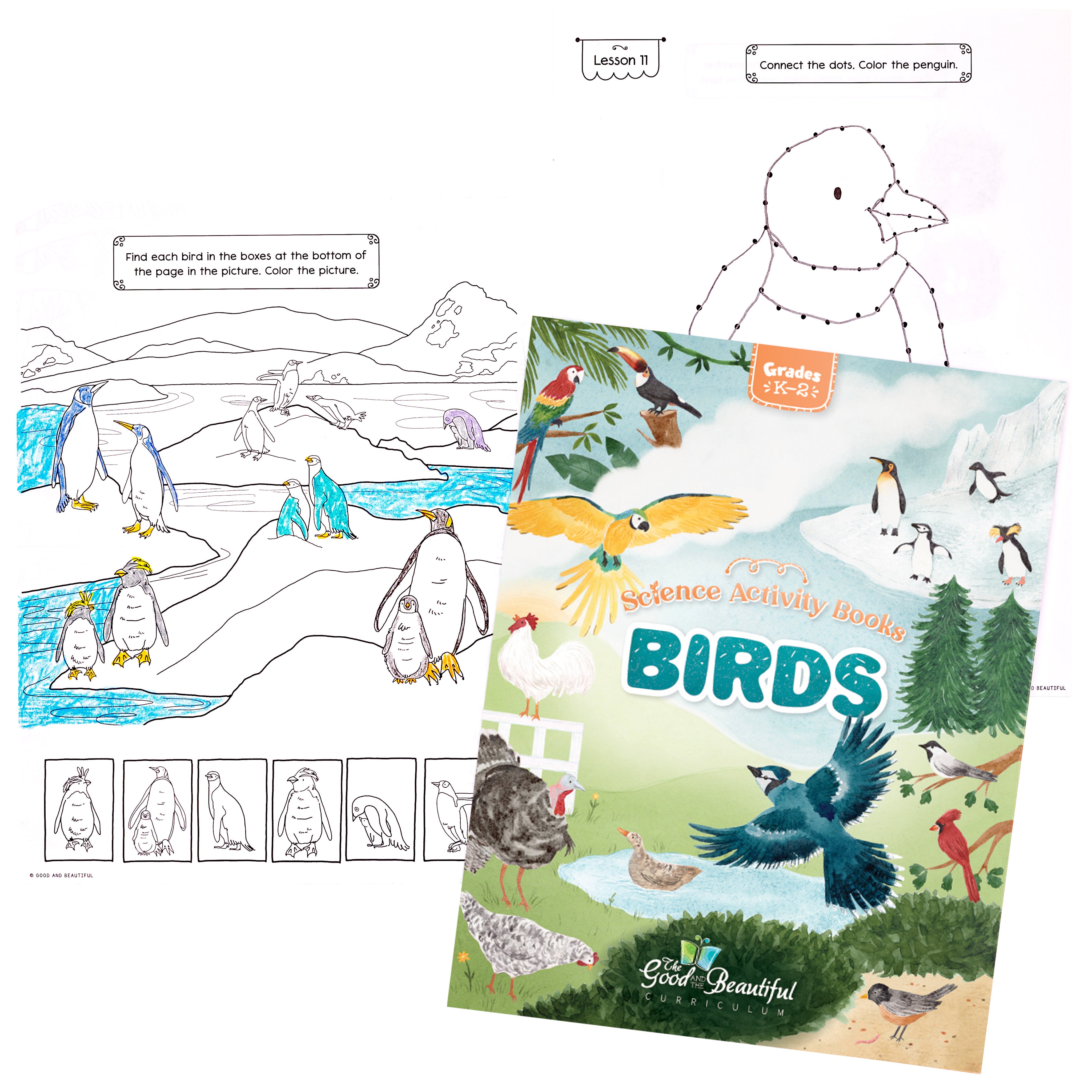 Birds: Science Activity Book – The Good and the Beautiful