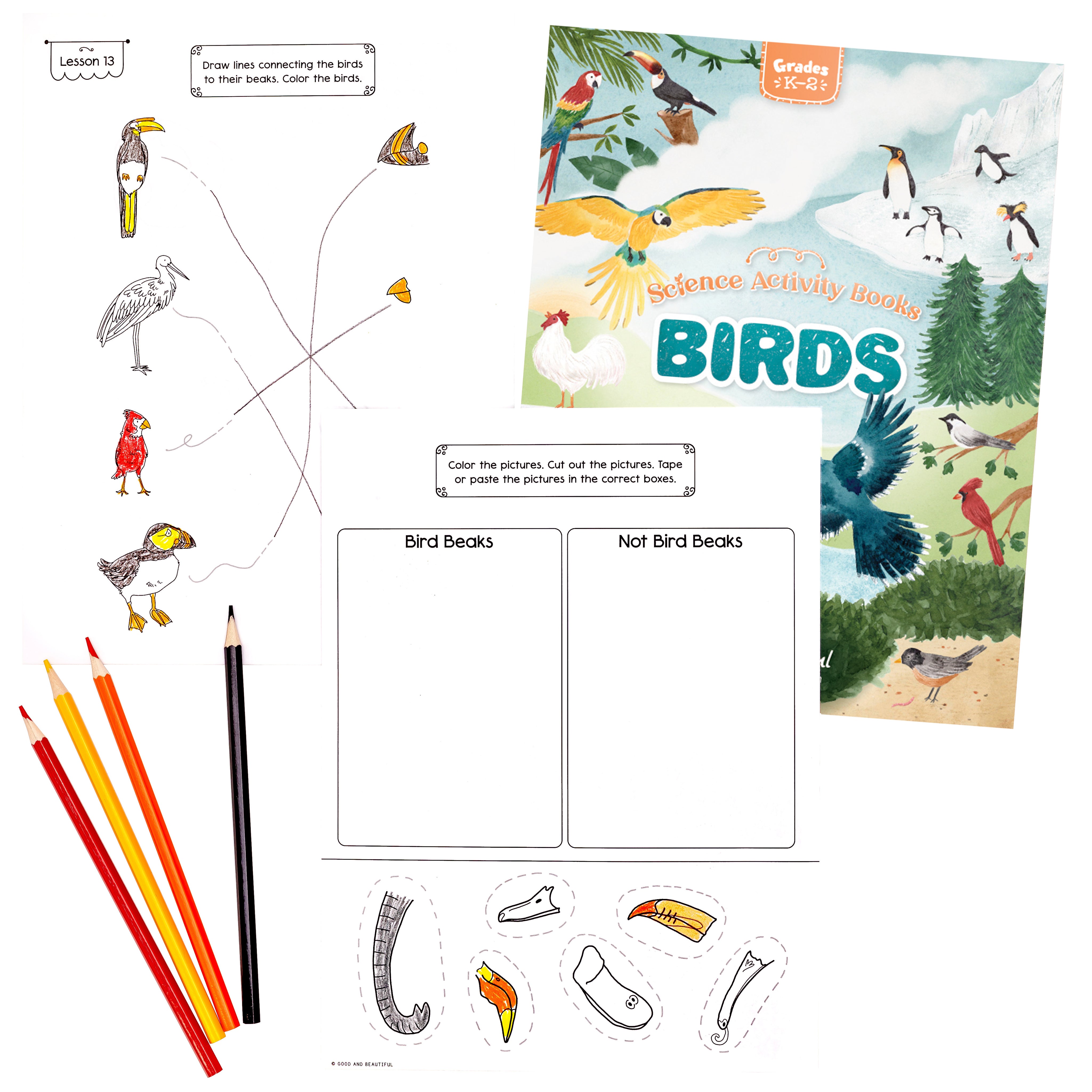 Birds: Science Activity Book – The Good and the Beautiful
