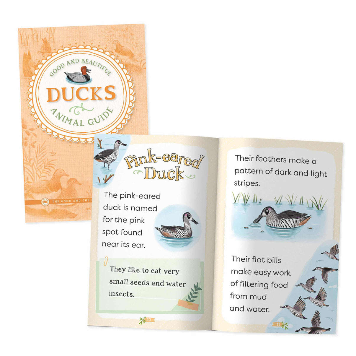 Good and Beautiful Animal Guide: Ducks – The Good and the Beautiful