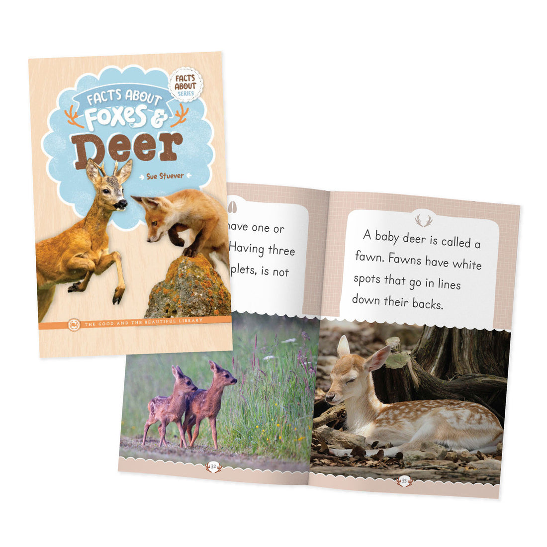 Facts About Foxes & Deer – The Good and the Beautiful