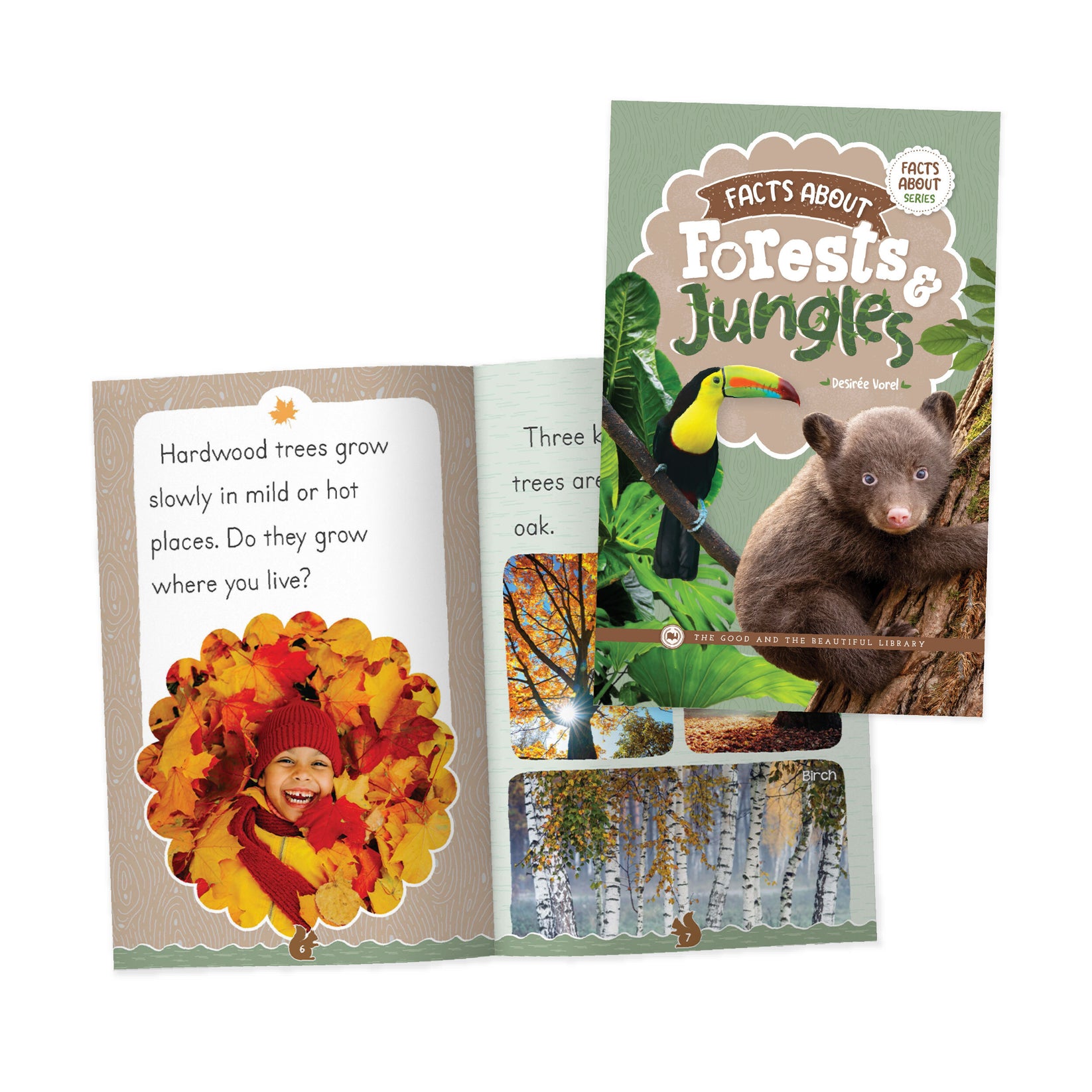 Facts About Forests & Jungles – The Good and the Beautiful