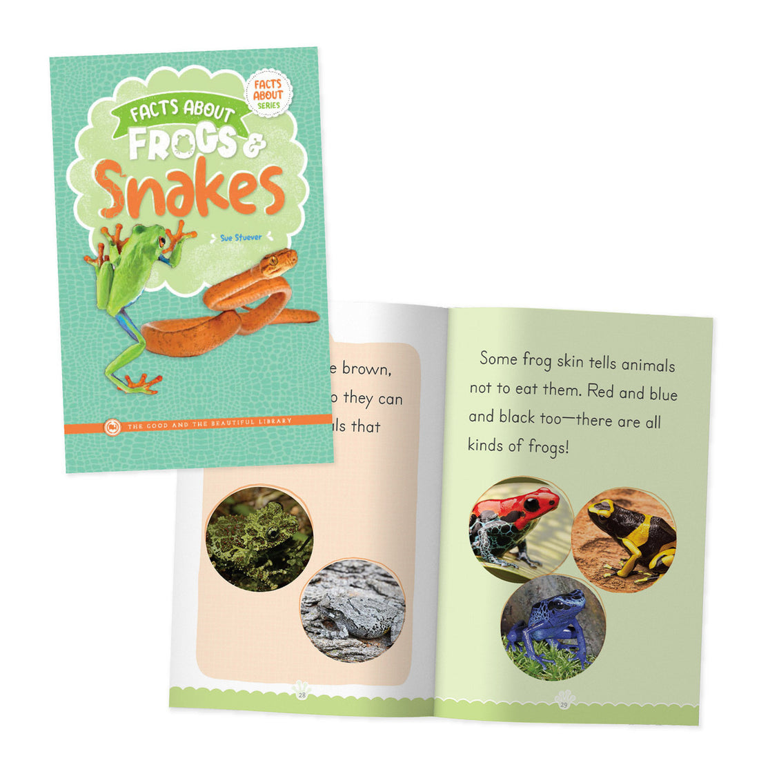 Facts About Frogs & Snakes – The Good and the Beautiful