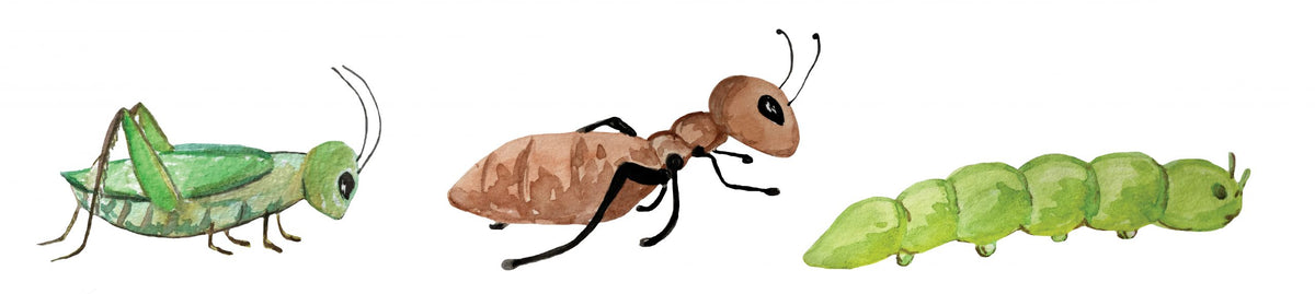 Nature Poetry for Kids | The Good and the Beautiful