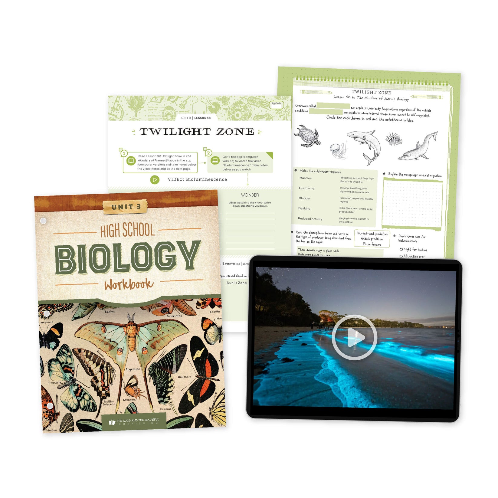 High School Biology Course Set – The Good and the Beautiful