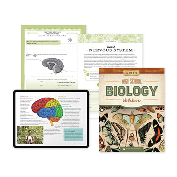 Specials | The Good and the Beautiful