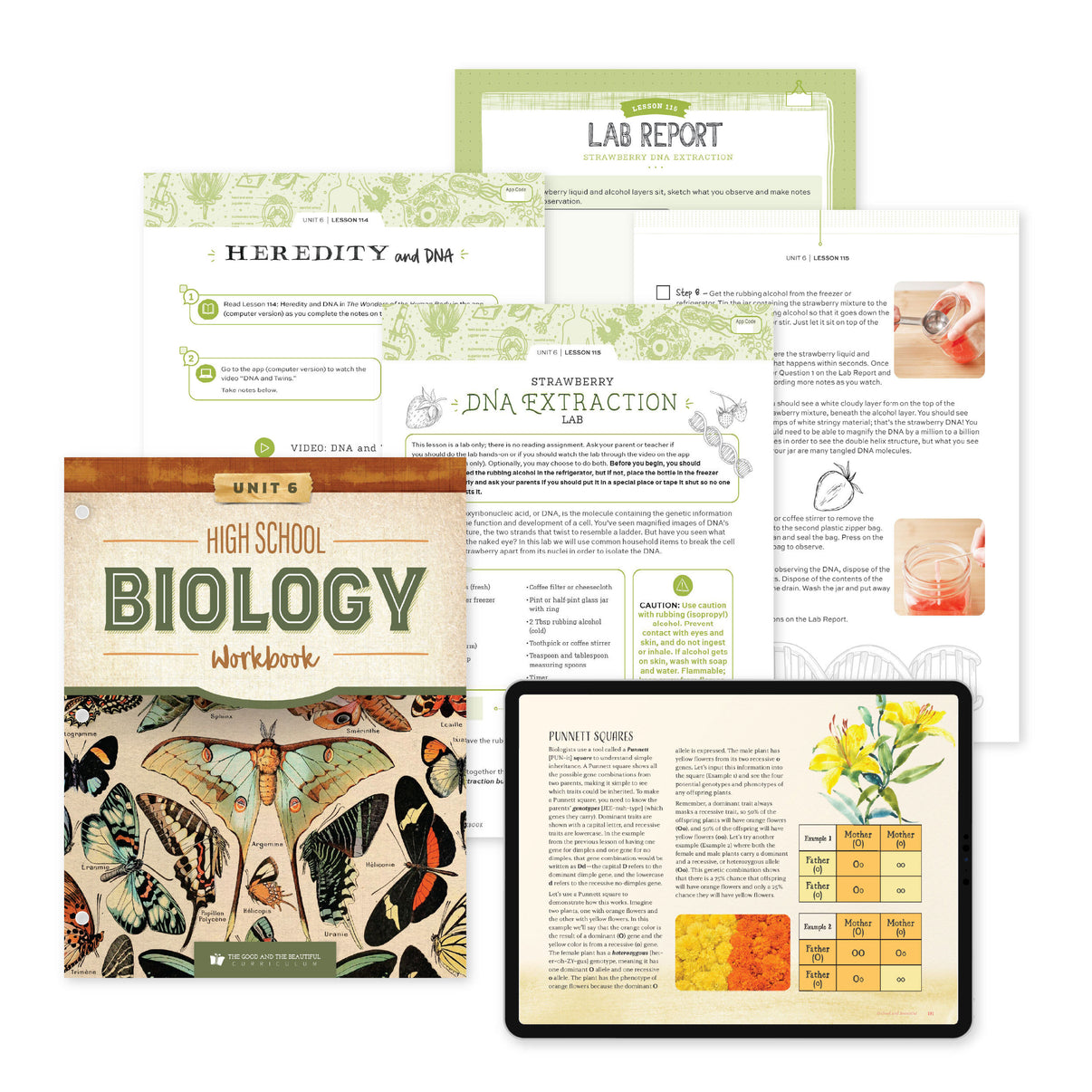 High School Biology Course Set – The Good and the Beautiful