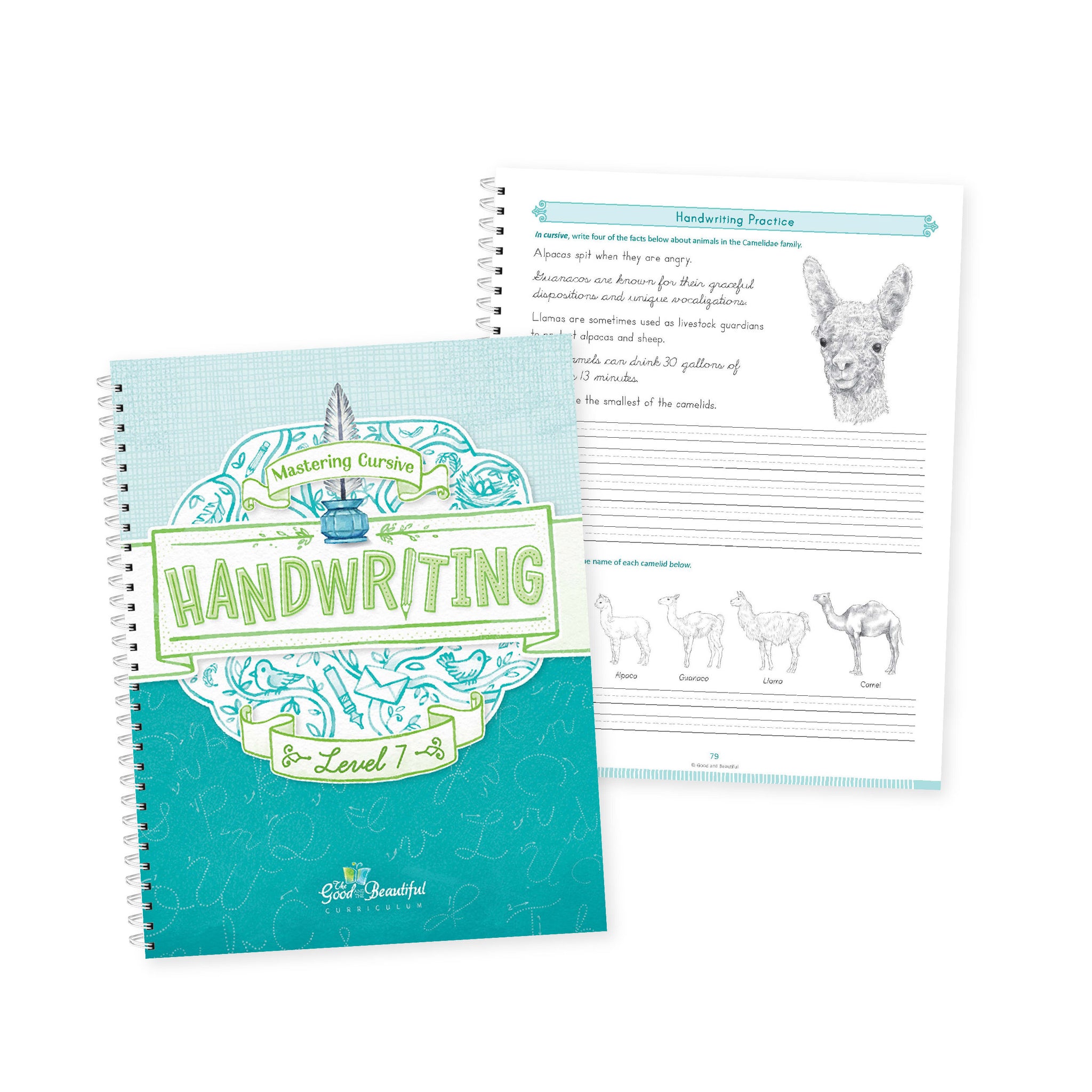 Handwriting Workbook: Level 7 – The Good and the Beautiful