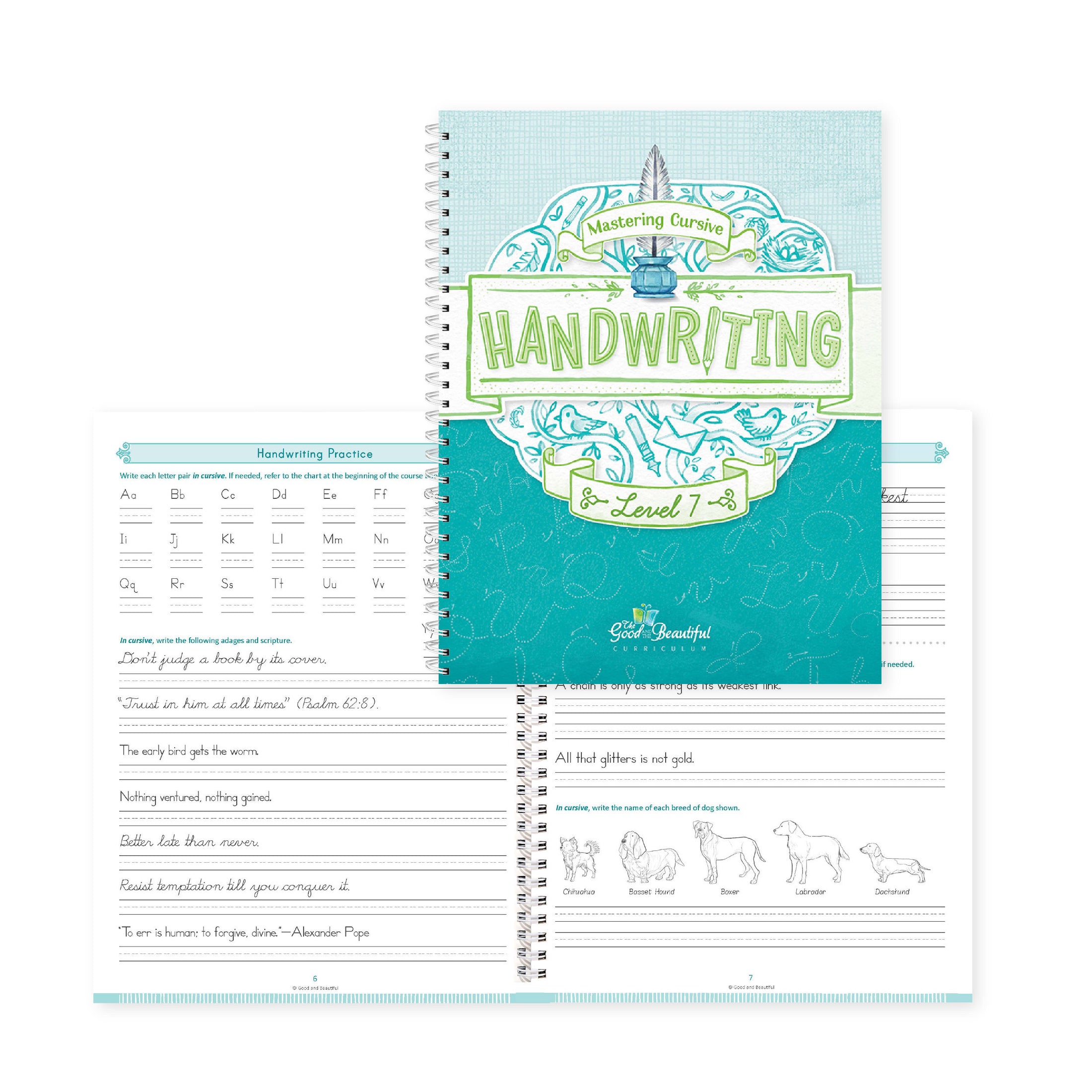 Handwriting Workbook: Level 7 – The Good and the Beautiful