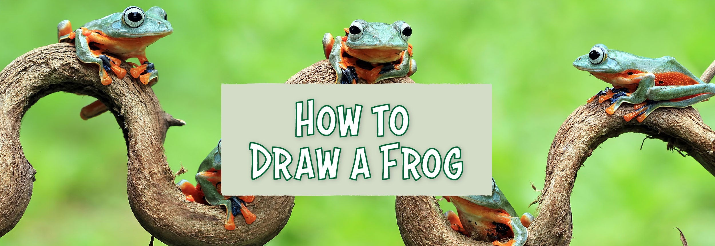How to Draw a Frog – The Good and the Beautiful