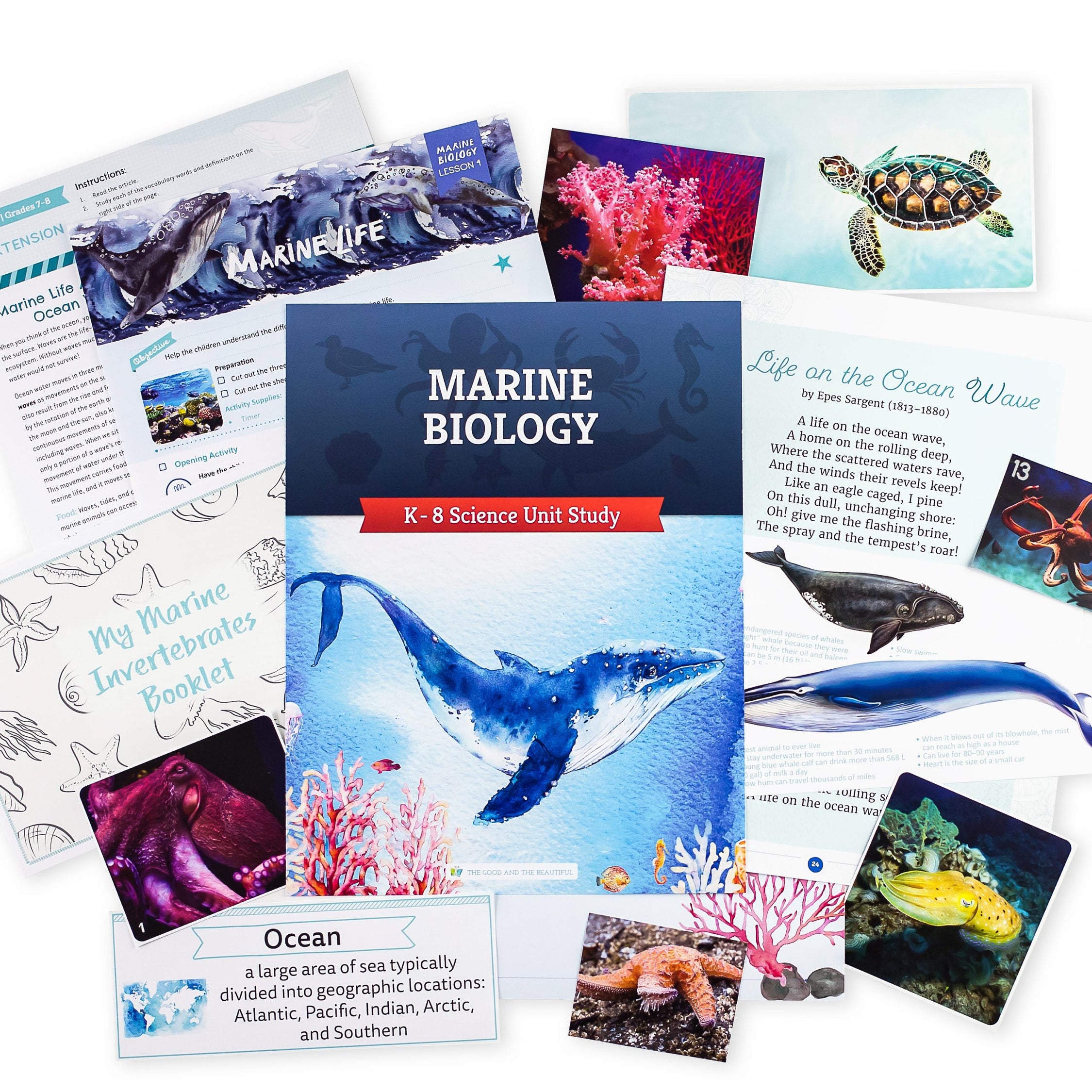 Marine Biology – The Good and the Beautiful