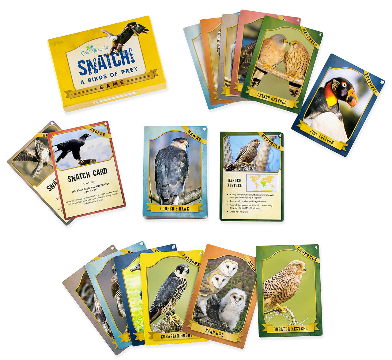 SNATCH! A Birds of Prey Game – The Good and the Beautiful