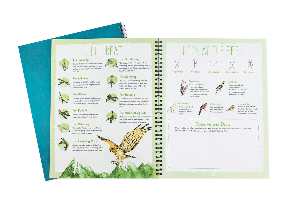Birdwatching Notebook – The Good and the Beautiful