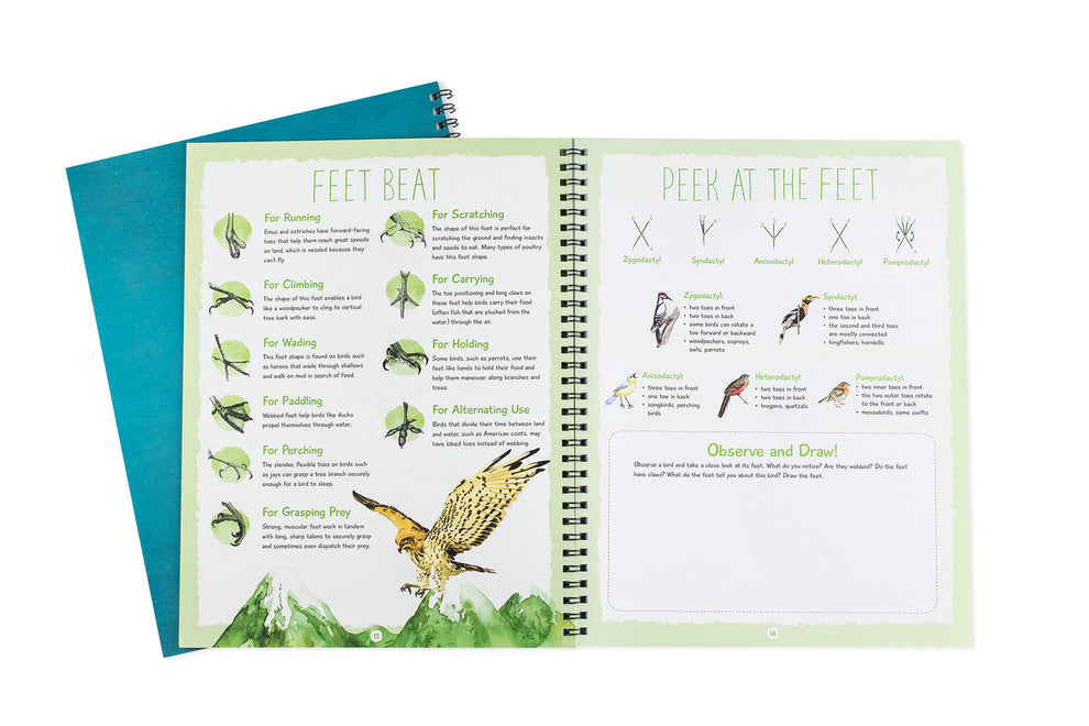 Birdwatching Notebook – The Good and the Beautiful