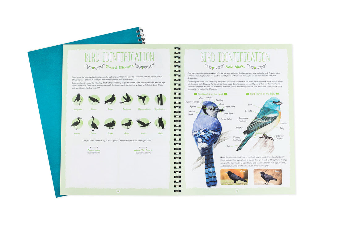 Birdwatching Notebook – The Good and the Beautiful