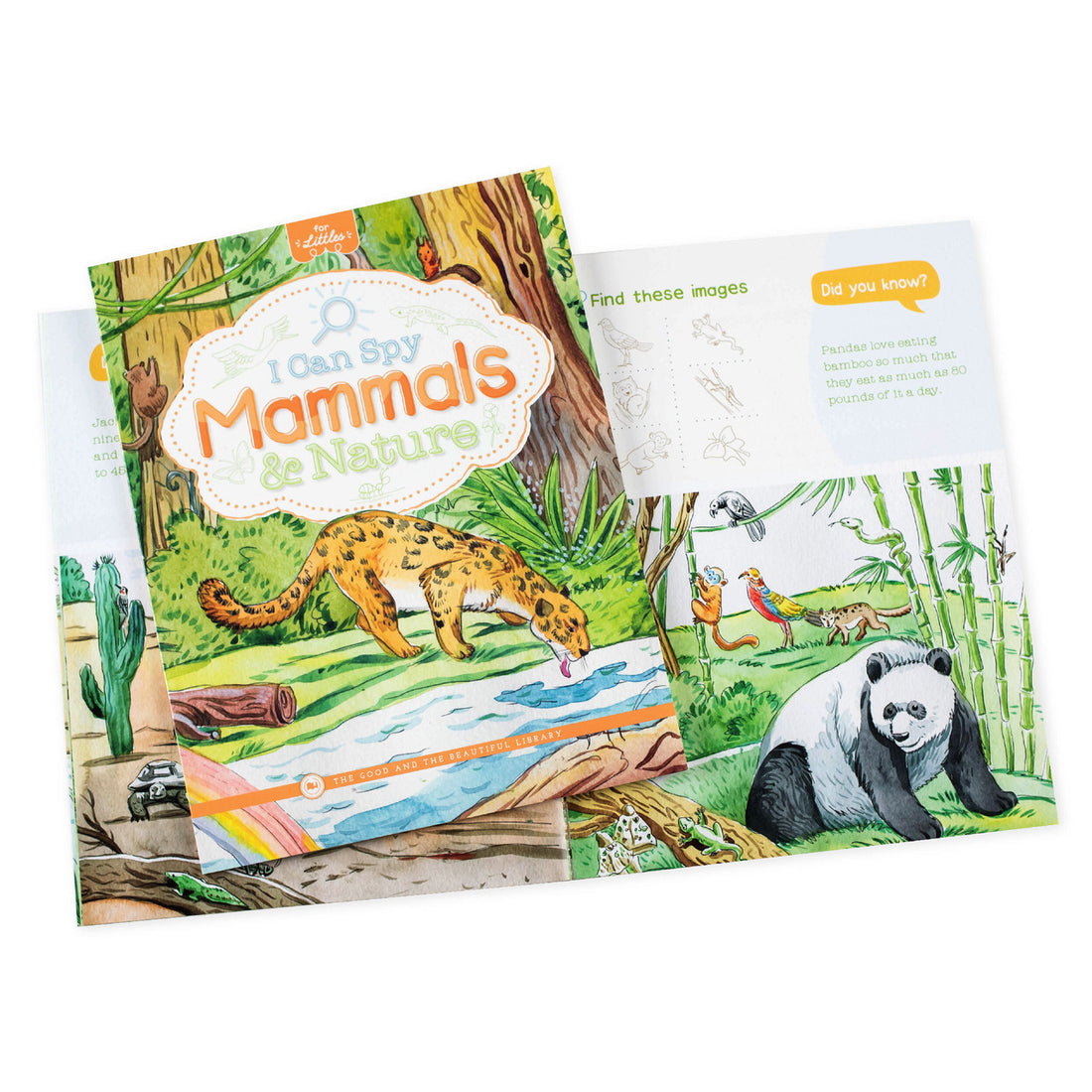 I Can Spy Mammals & Nature – The Good and the Beautiful