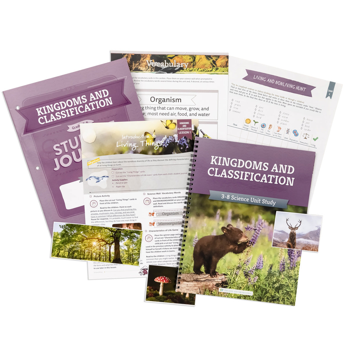 Kingdoms and Classification Science Course | The Good and the Beautiful