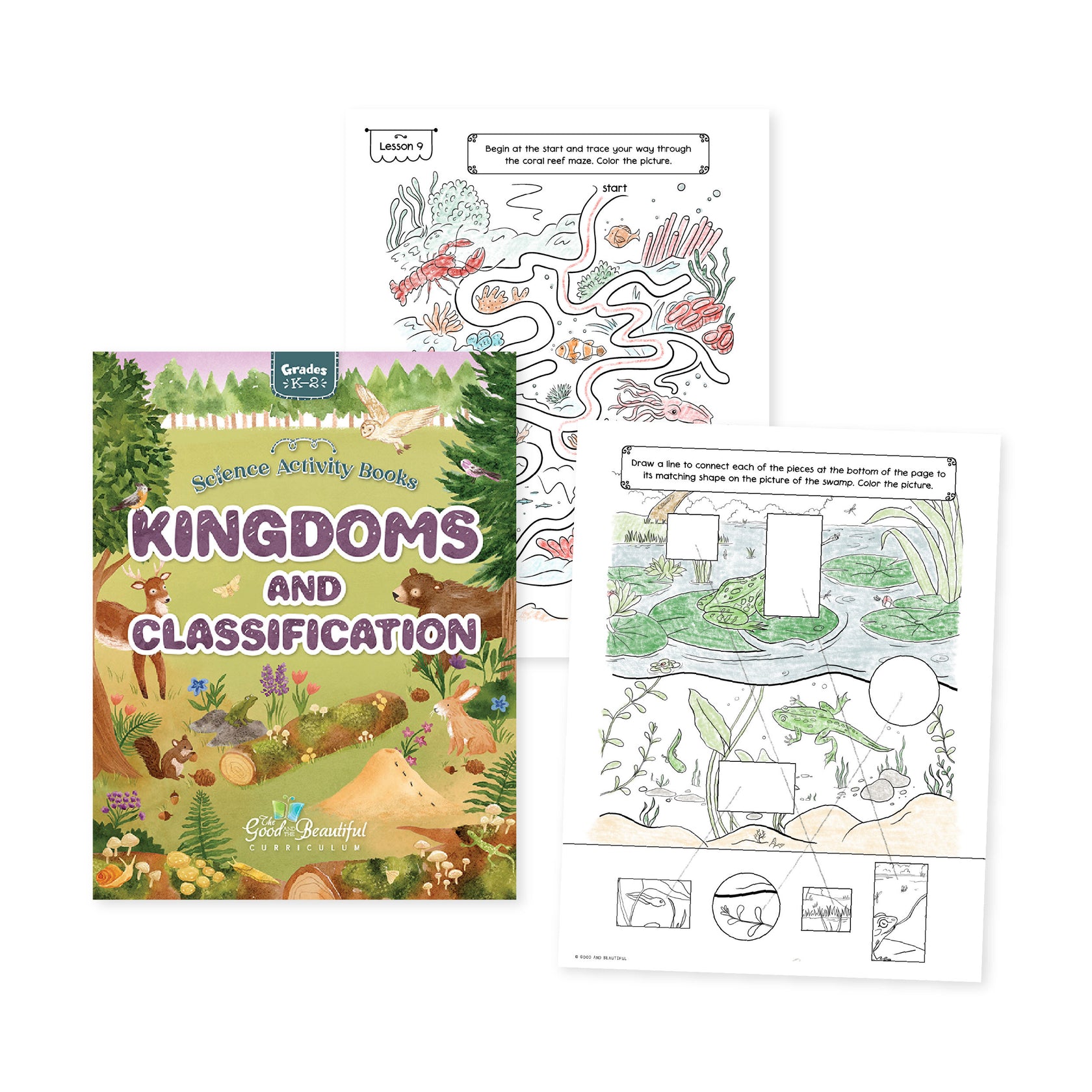 Kingdoms and Classification: Science Activity Book – The Good and the ...